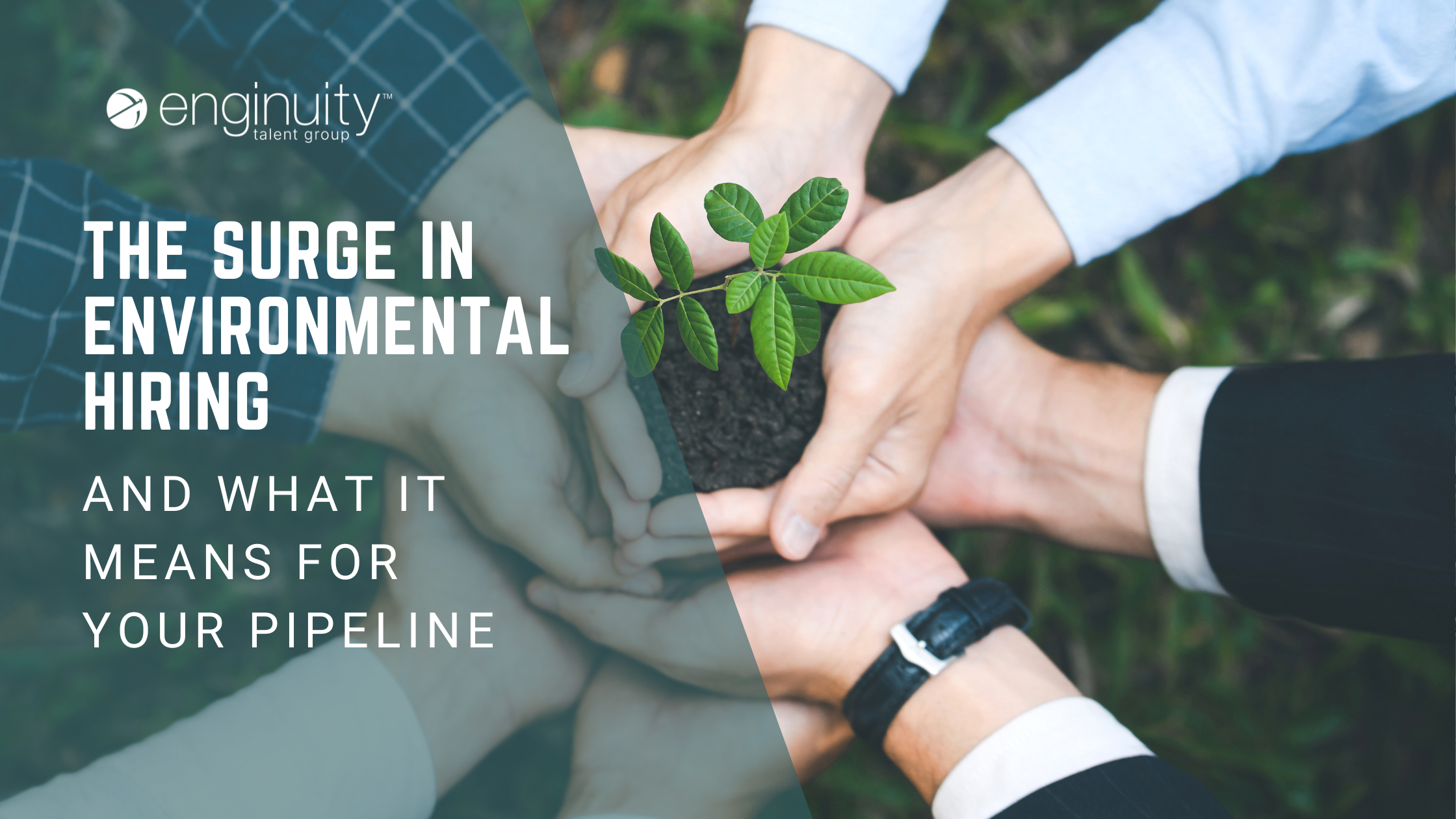 The Surge in Environmental Hiring, and What It Means for Your Pipeline | Enginuity Talent Group